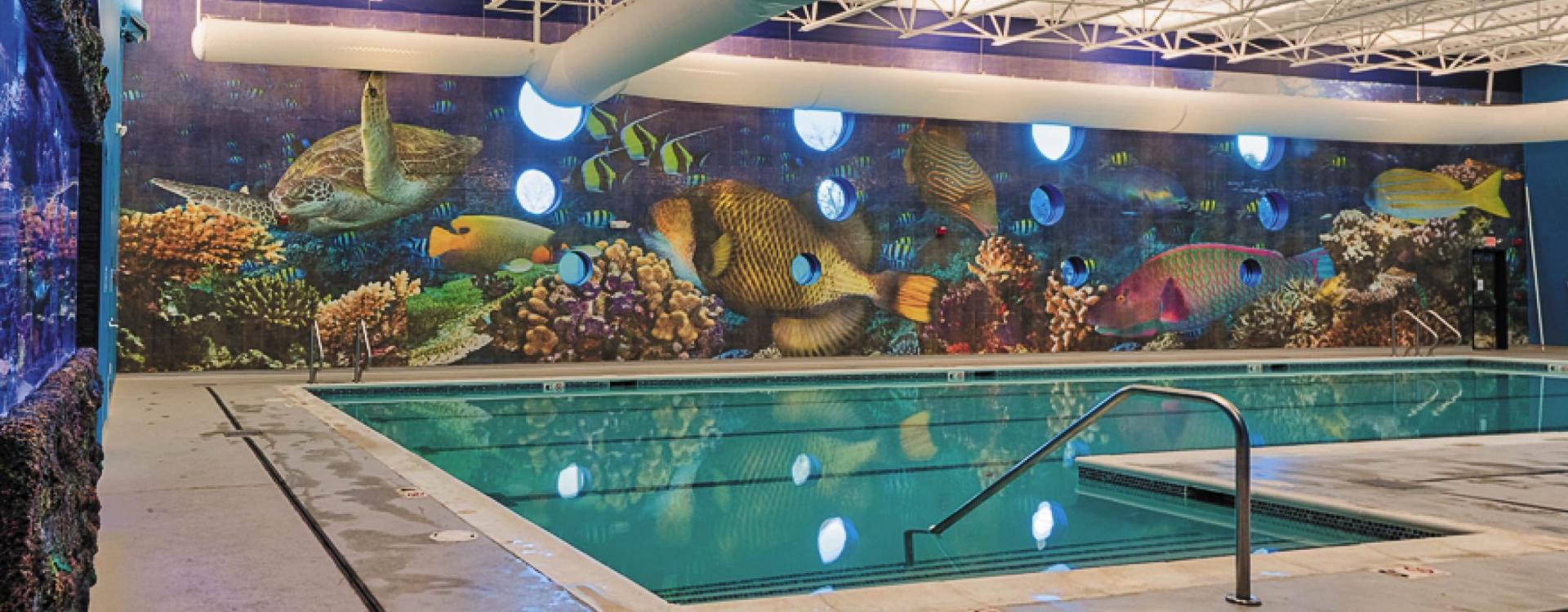 Outdoor & Pool Project 012 - Photographic Mosaic | MyMosaic